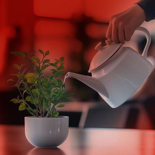 LEORON | Professional Development Institute